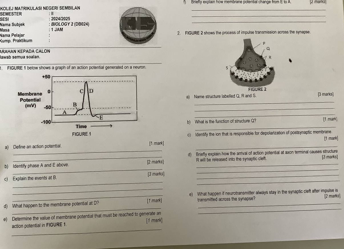 1. FIGURE 1 below shows a graph of an action | StudyX