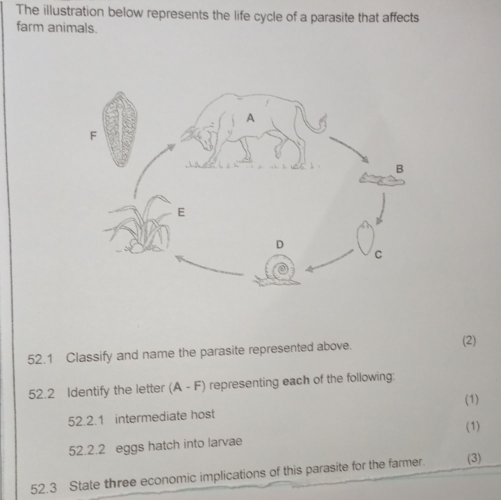 52.1 Classify and name the parasite | StudyX