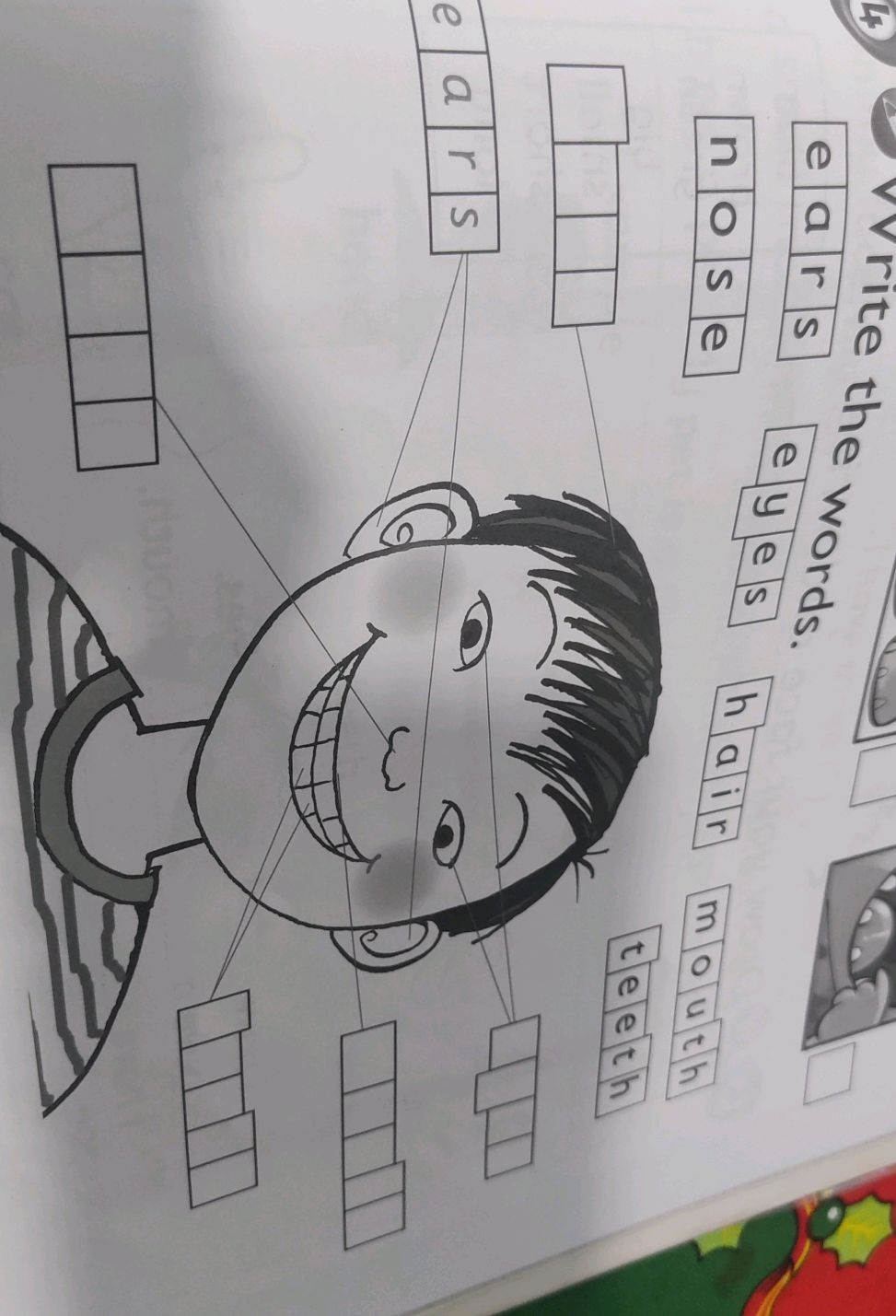 Write the words. ears nose eyes hair mouth | StudyX