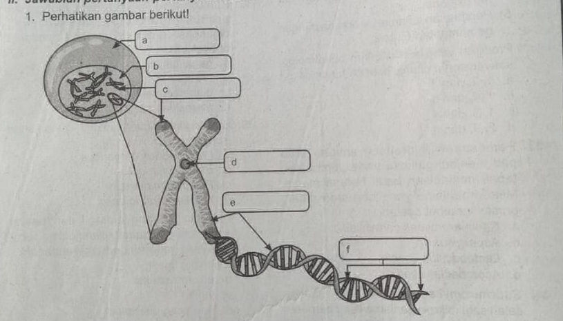 1. Perhatikan gambar berikut! Diagram of a | StudyX