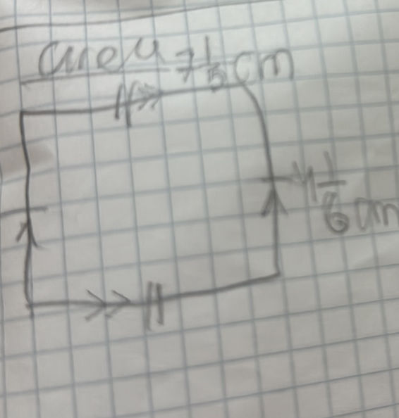 Area of a rectangle with given dimensions | StudyX