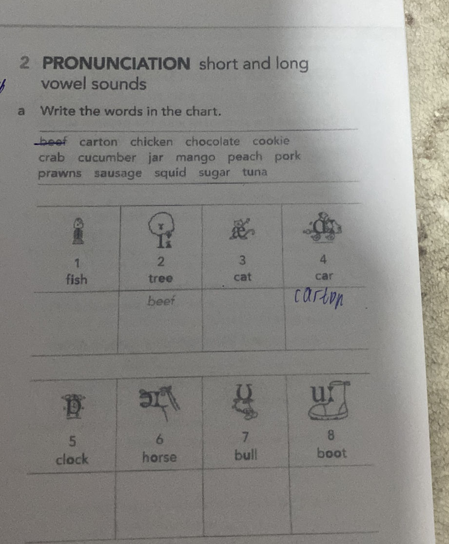 2 PRONUNCIATION short and long vowel sounds | StudyX