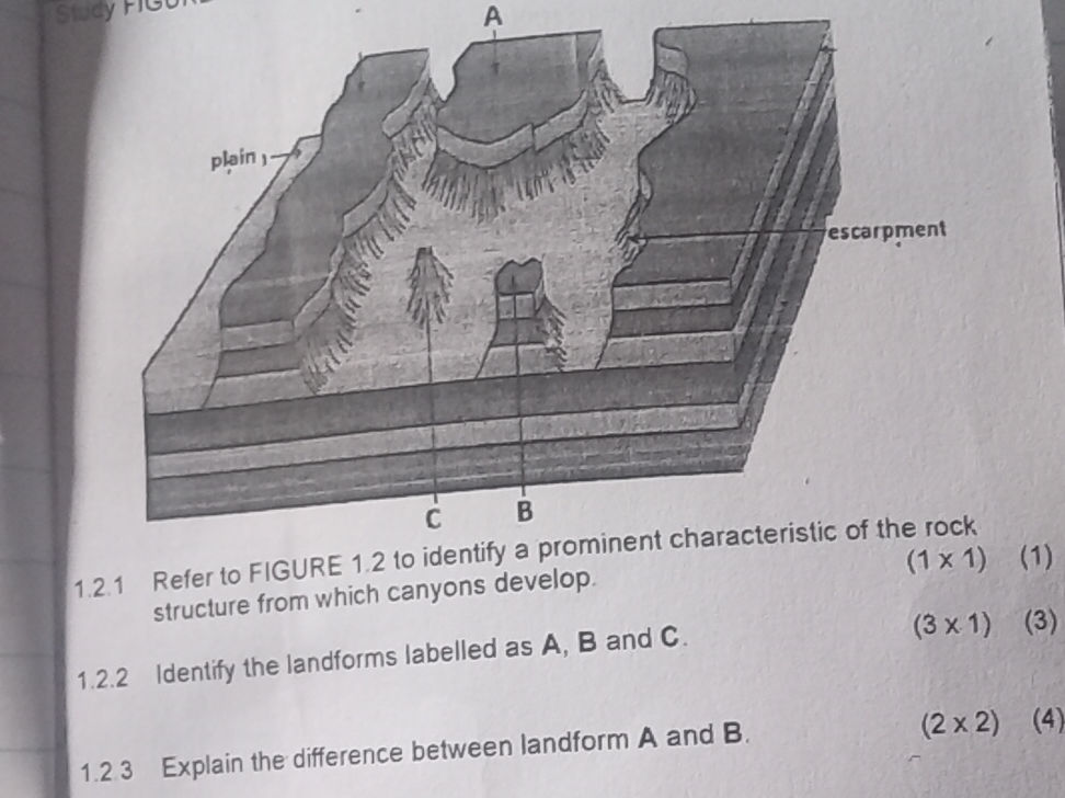 1.2.1 Refer to FIGURE 1.2 to identify a | StudyX