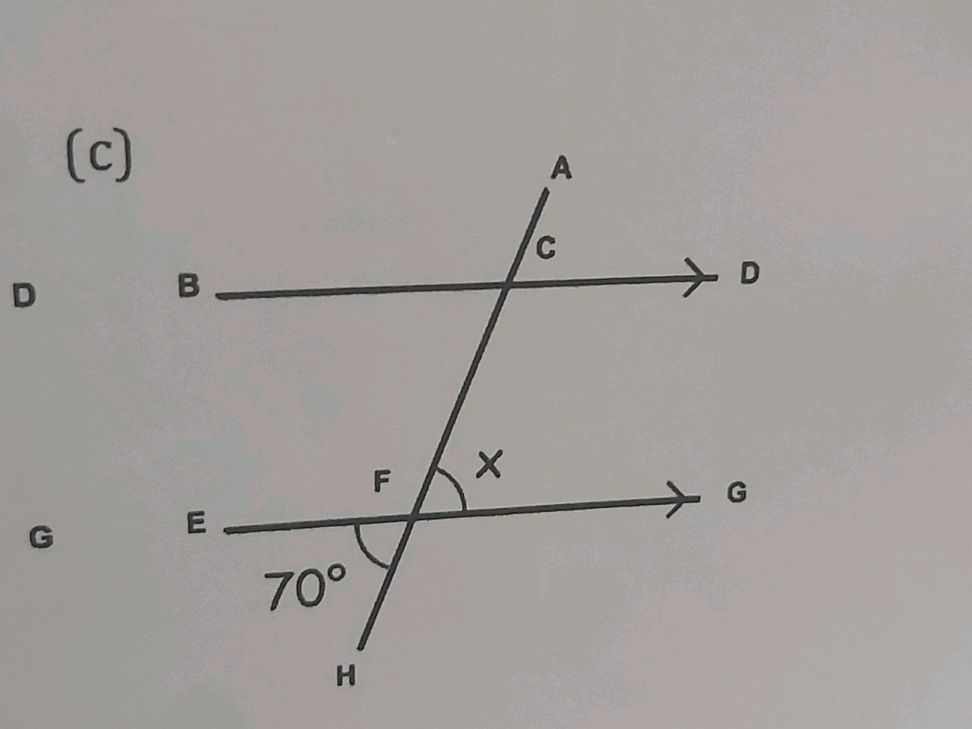 Find the value of angle X. In the diagram, | StudyX