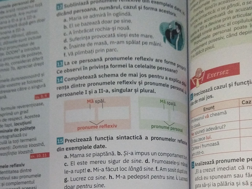 12 Subliniază pronumele reflexiv din | StudyX