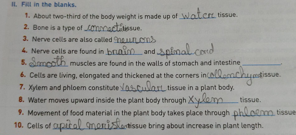 II. Fill in the blanks. 1. About two-third | StudyX