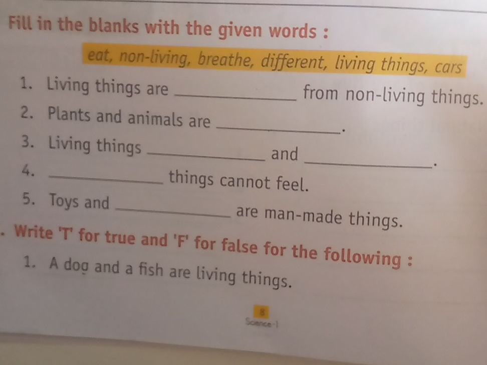 Fill in the blanks with the given words : | StudyX