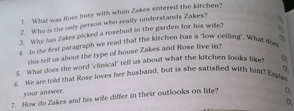 What was Rose busy with when Zakes entered