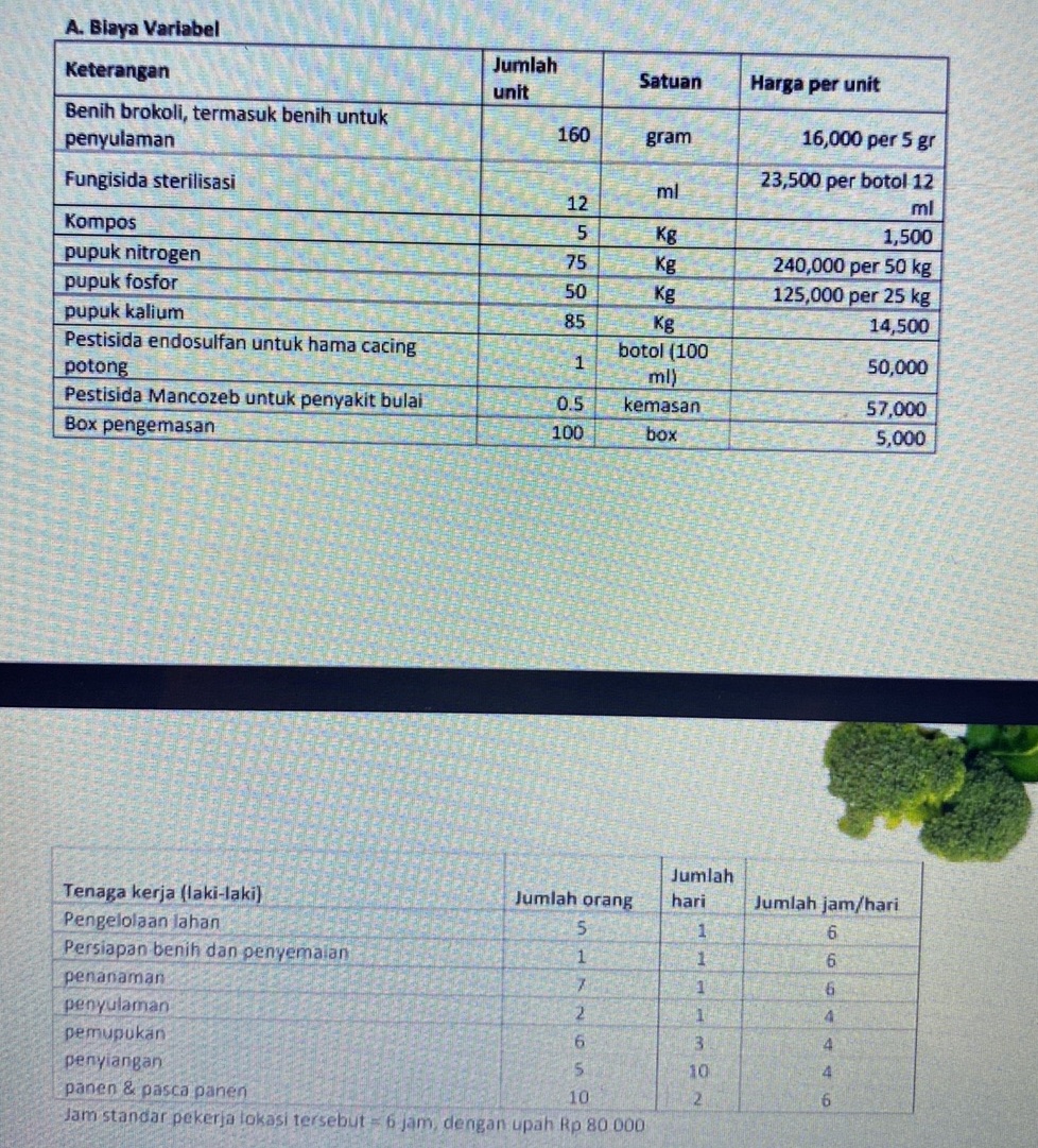 A. Biaya Variabel | Keterangan | StudyX