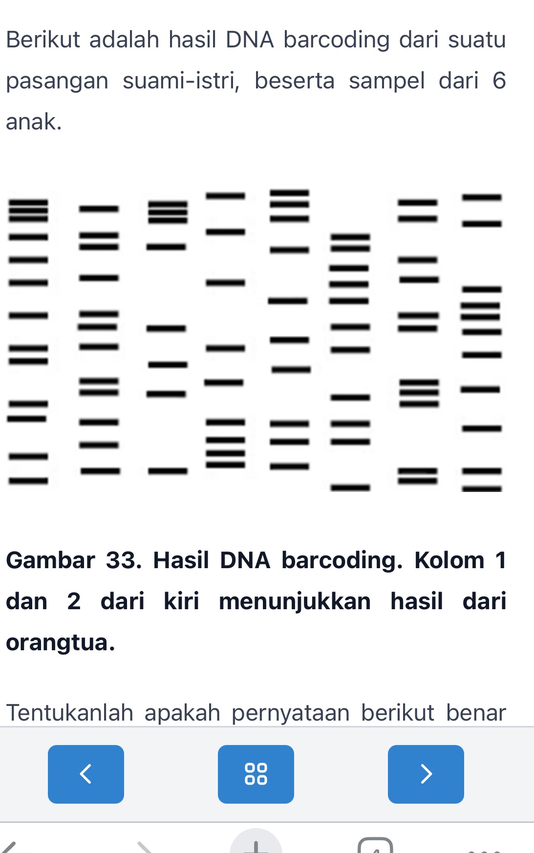 Berikut adalah hasil DNA barcoding dari | StudyX