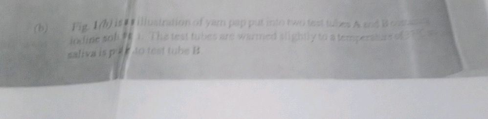 (b) Fig. 1(b) is illustration of yam pap put | StudyX