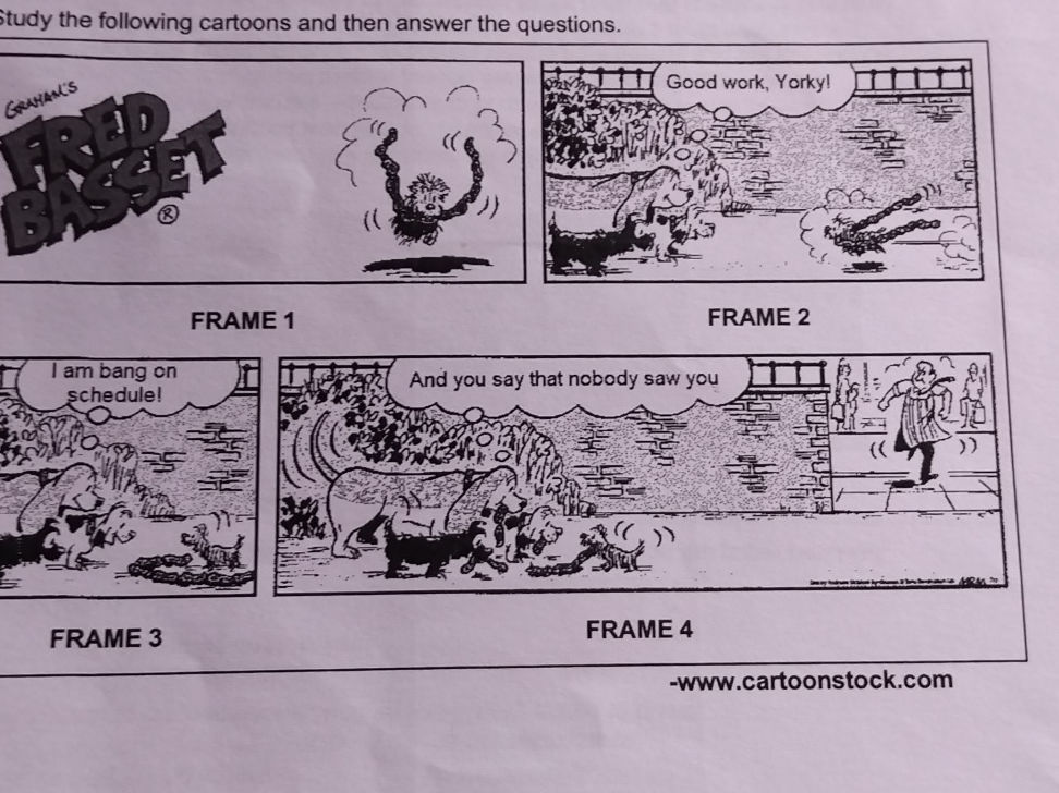 Study the following cartoons and then answer | StudyX