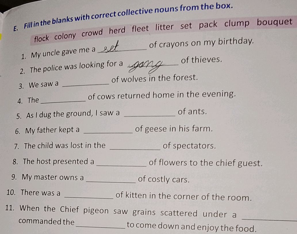 E. Fill in the blanks with correct | StudyX