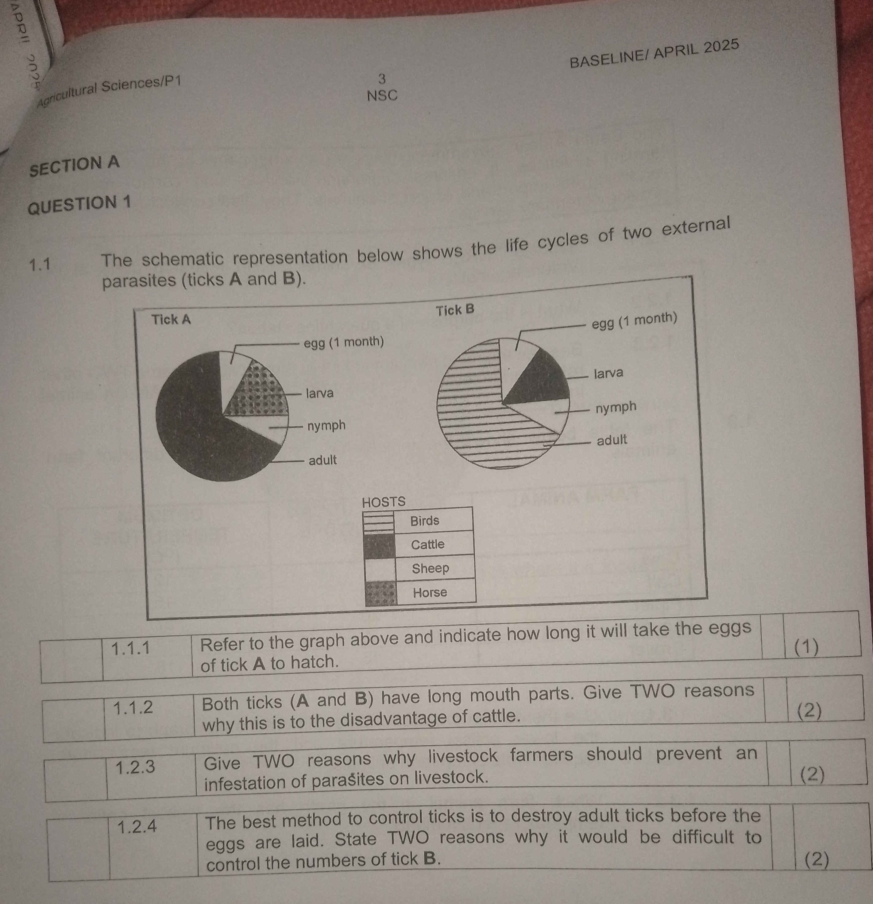 1.1 The schematic representation below shows | StudyX
