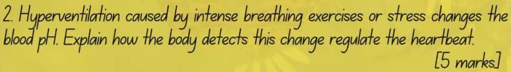 2. Hyperventilation caused by intense | StudyX