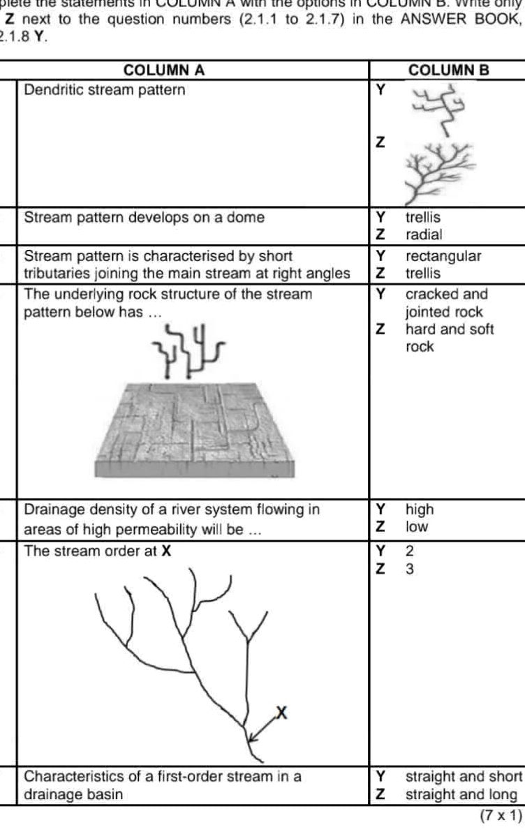 Match the statements in COLUMN A with the | StudyX