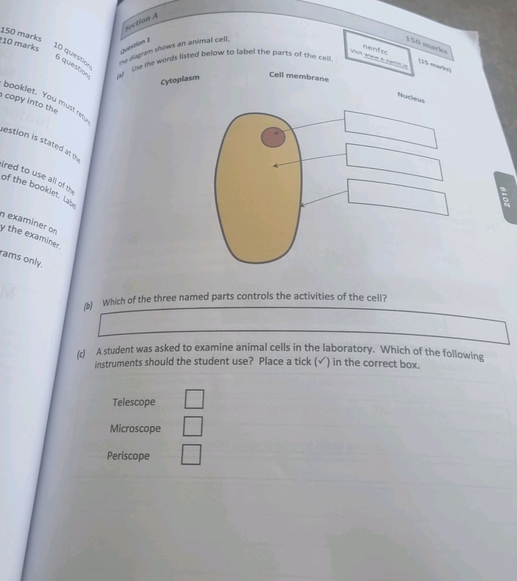 (a) Use the words listed below to label the | StudyX