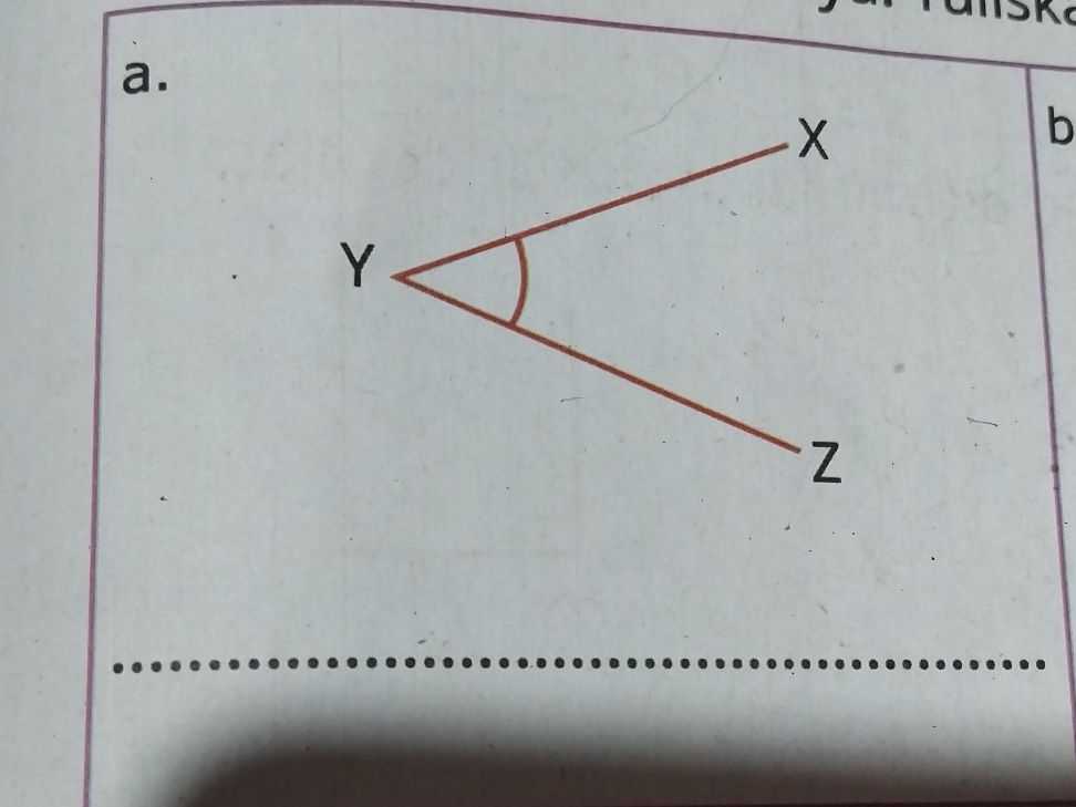 a. An angle is shown with vertex Y and | StudyX
