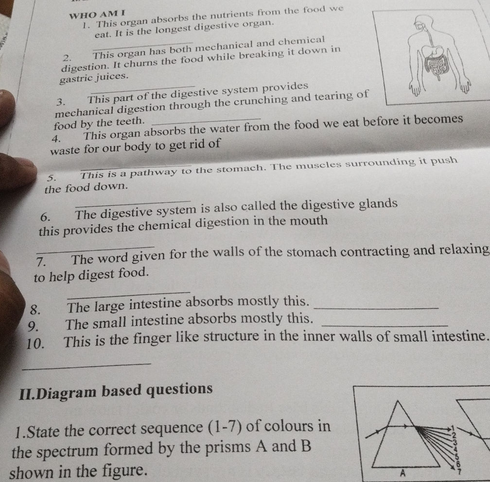 1. This organ absorbs the nutrients from the | StudyX
