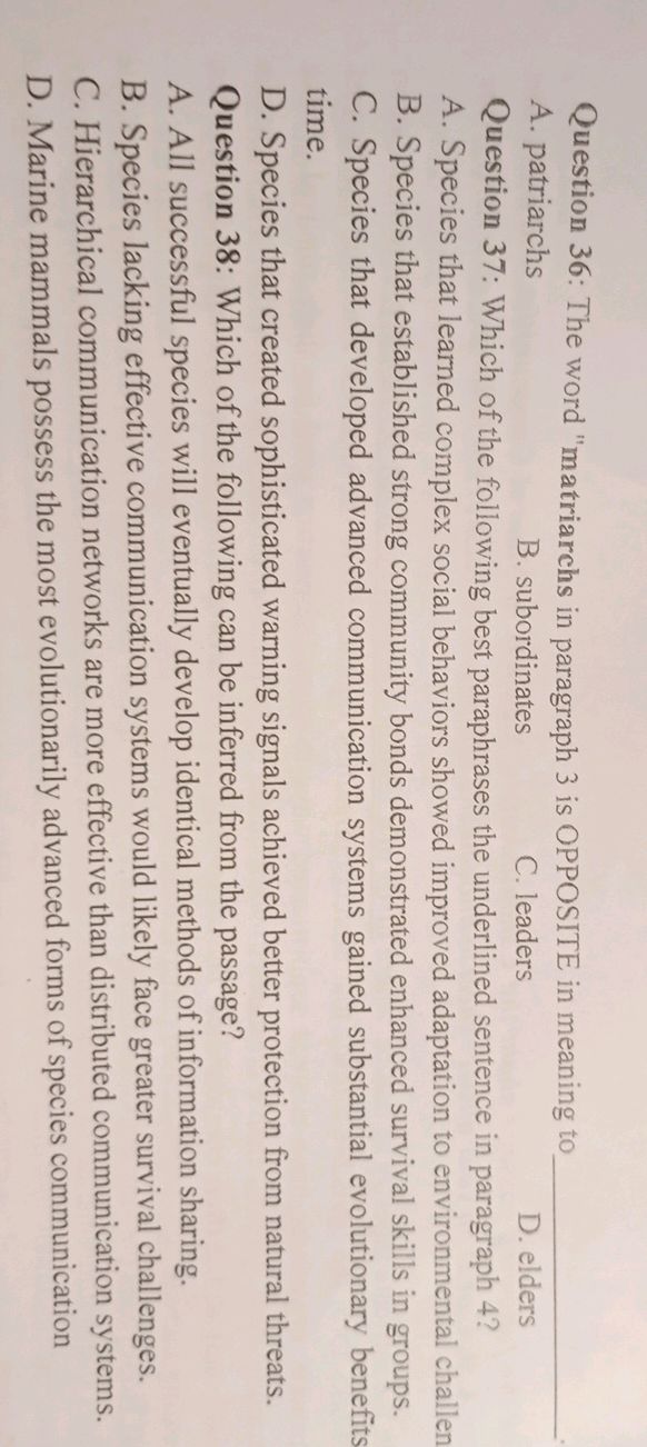 Question 36: The word "matriarchs in | StudyX