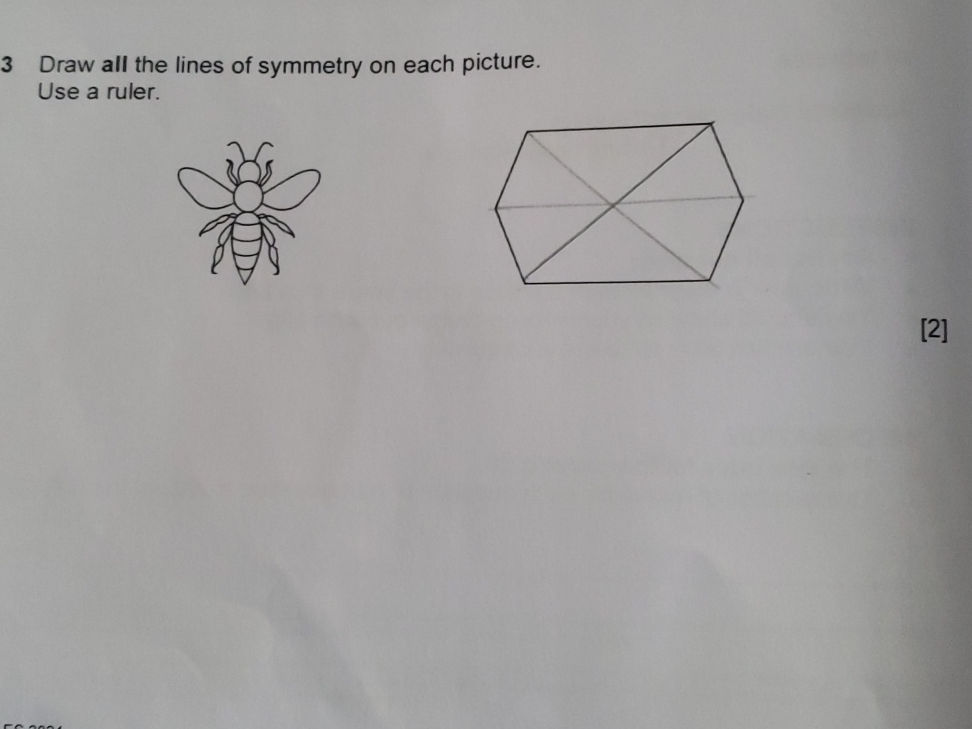 3 Draw all the lines of symmetry on each | StudyX