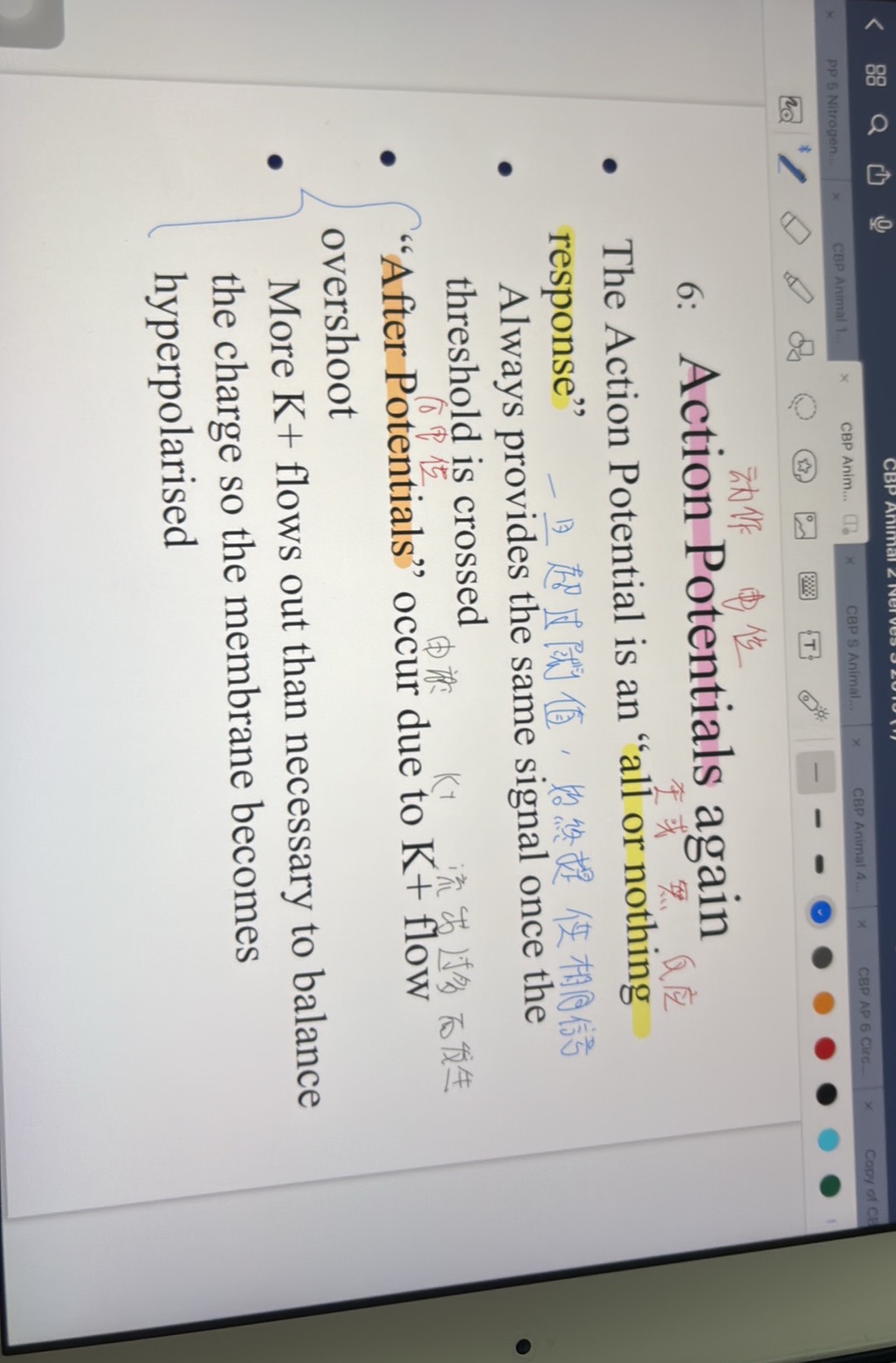 6: Action Potentials again The Action | StudyX