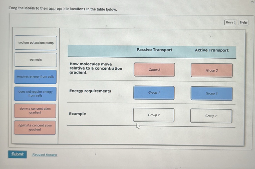 Drag the labels to their appropriate | StudyX