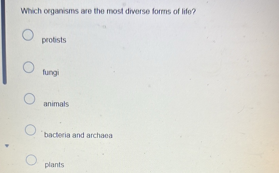 Which organisms are the most diverse forms