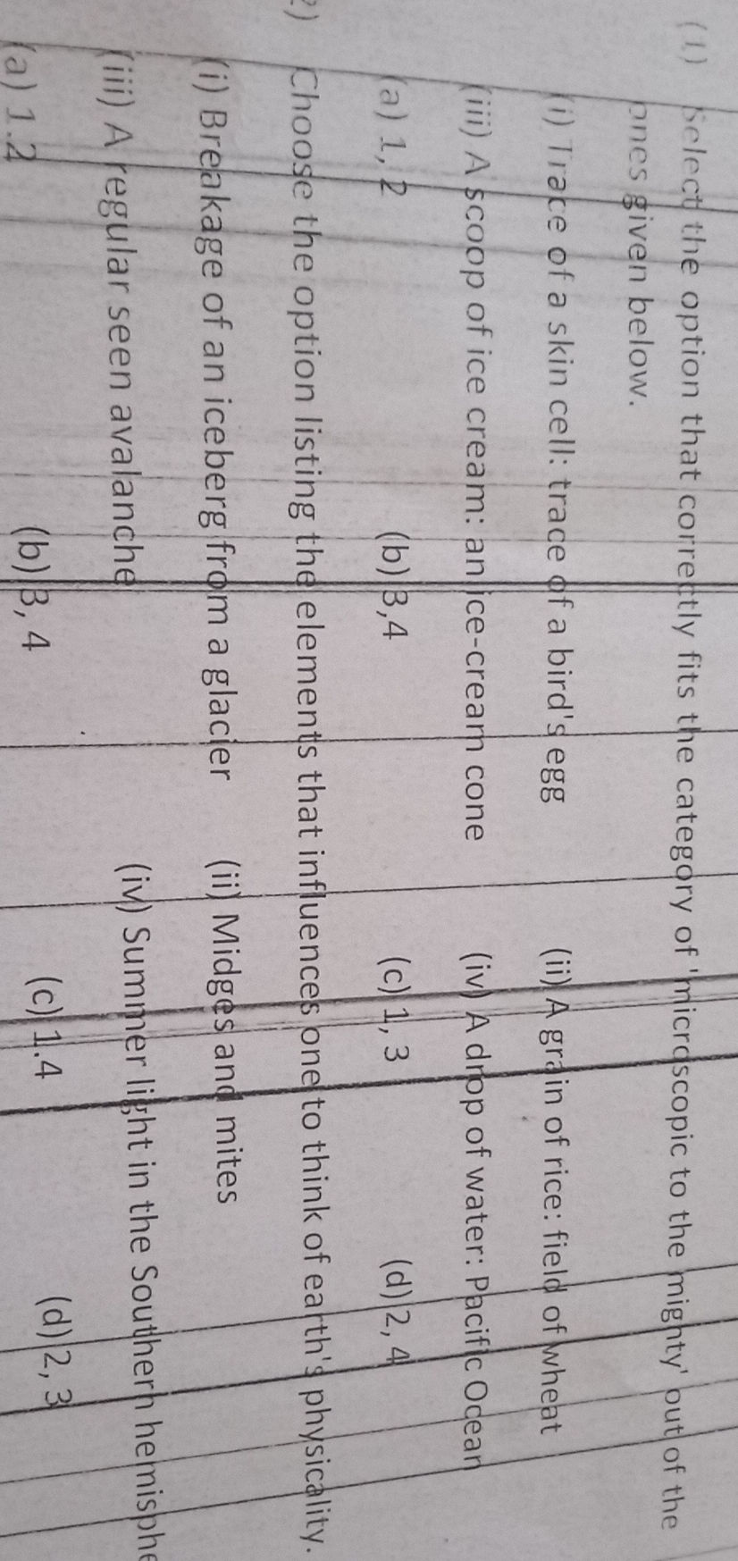 (1) Select the option that correctly fits | StudyX