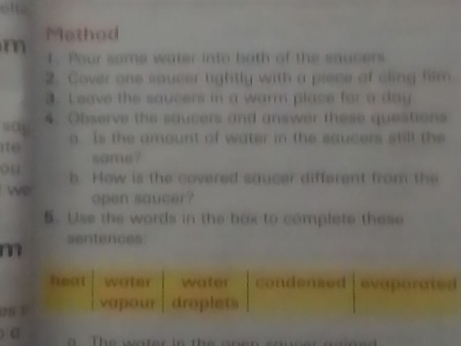 4. Observe the saucers and answer these | StudyX