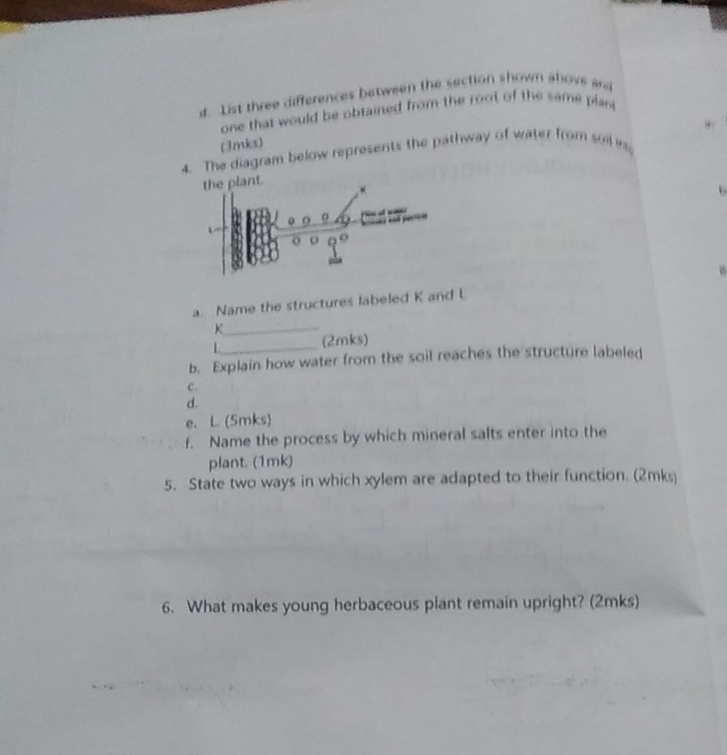 d. List three differences between the | StudyX