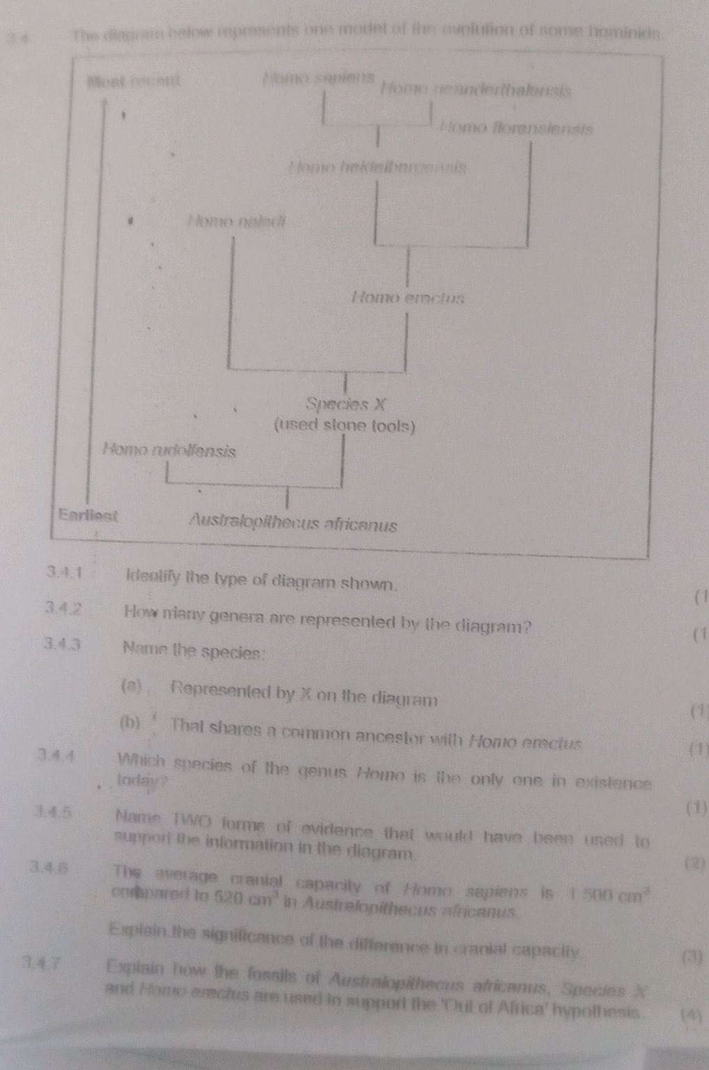 3. 4 The diagram below represents one model | StudyX