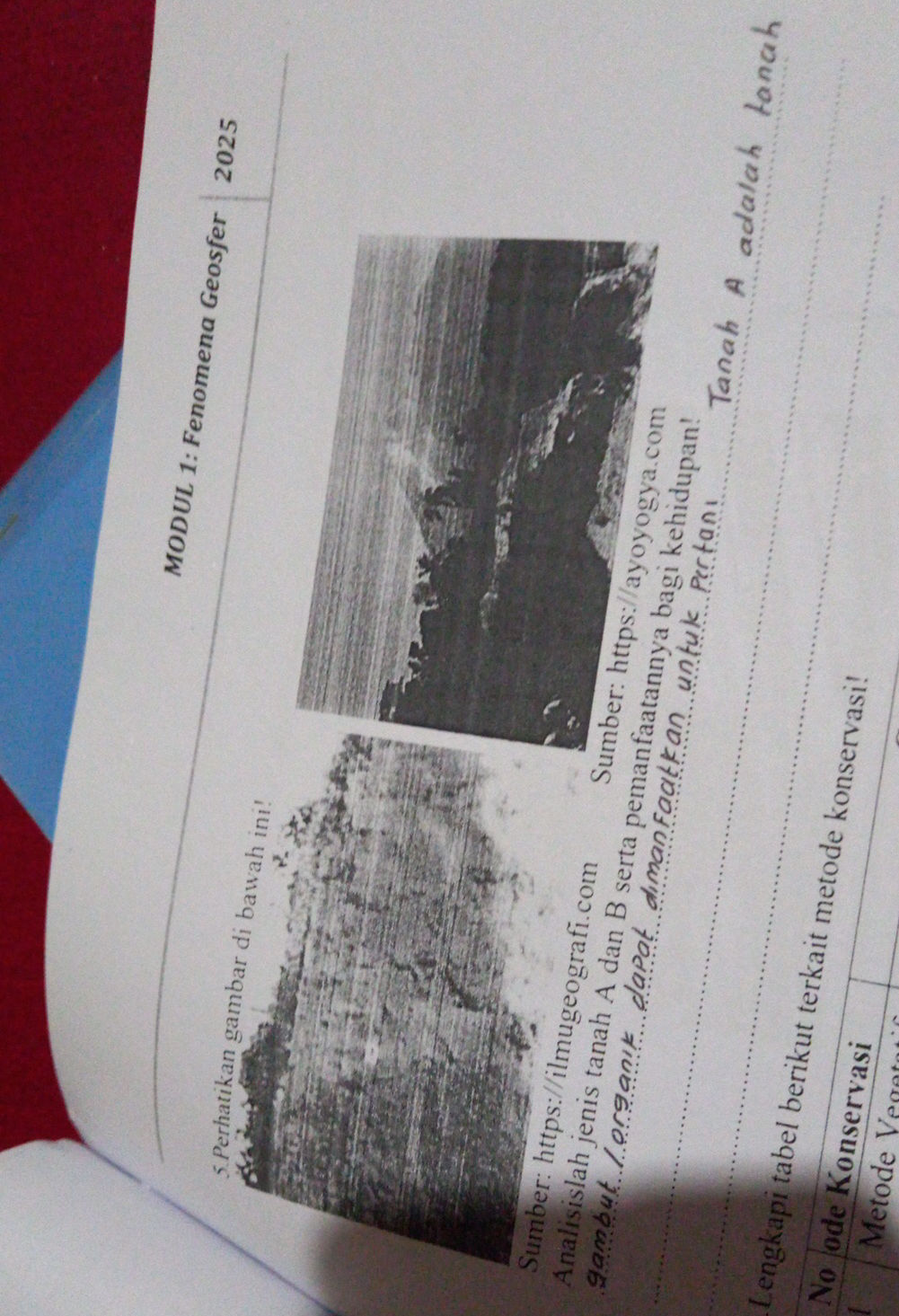 5. Perhatikan gambar di bawah ini! | StudyX