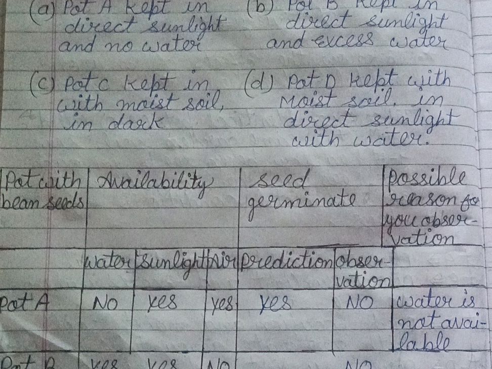 (a) Pot A kept in direct sunlight and no | StudyX