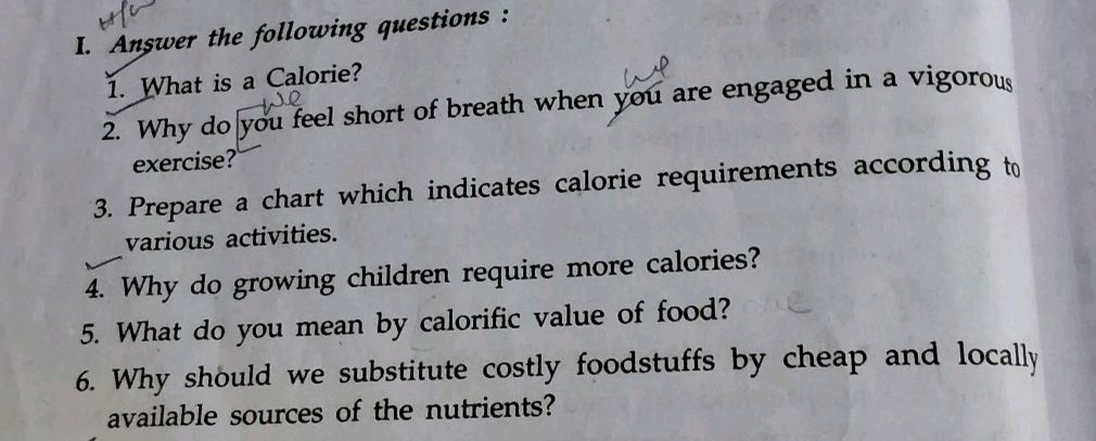 I. Answer the following questions : 1. What | StudyX