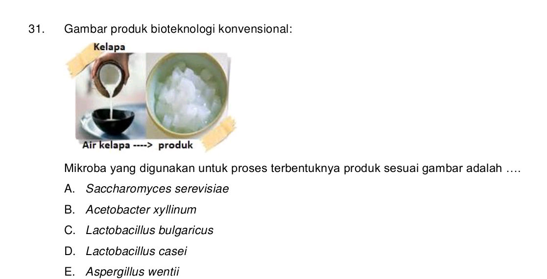 31. Gambar produk bioteknologi konvensional: | StudyX