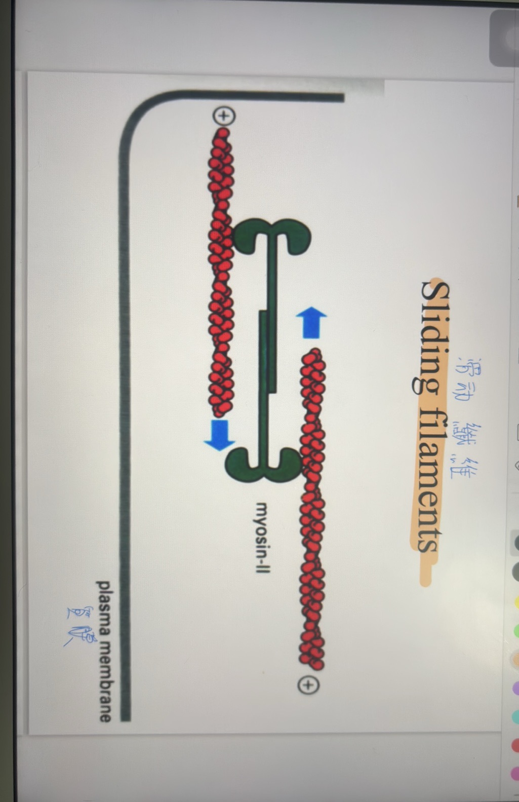 The image shows a diagram of "Sliding | StudyX