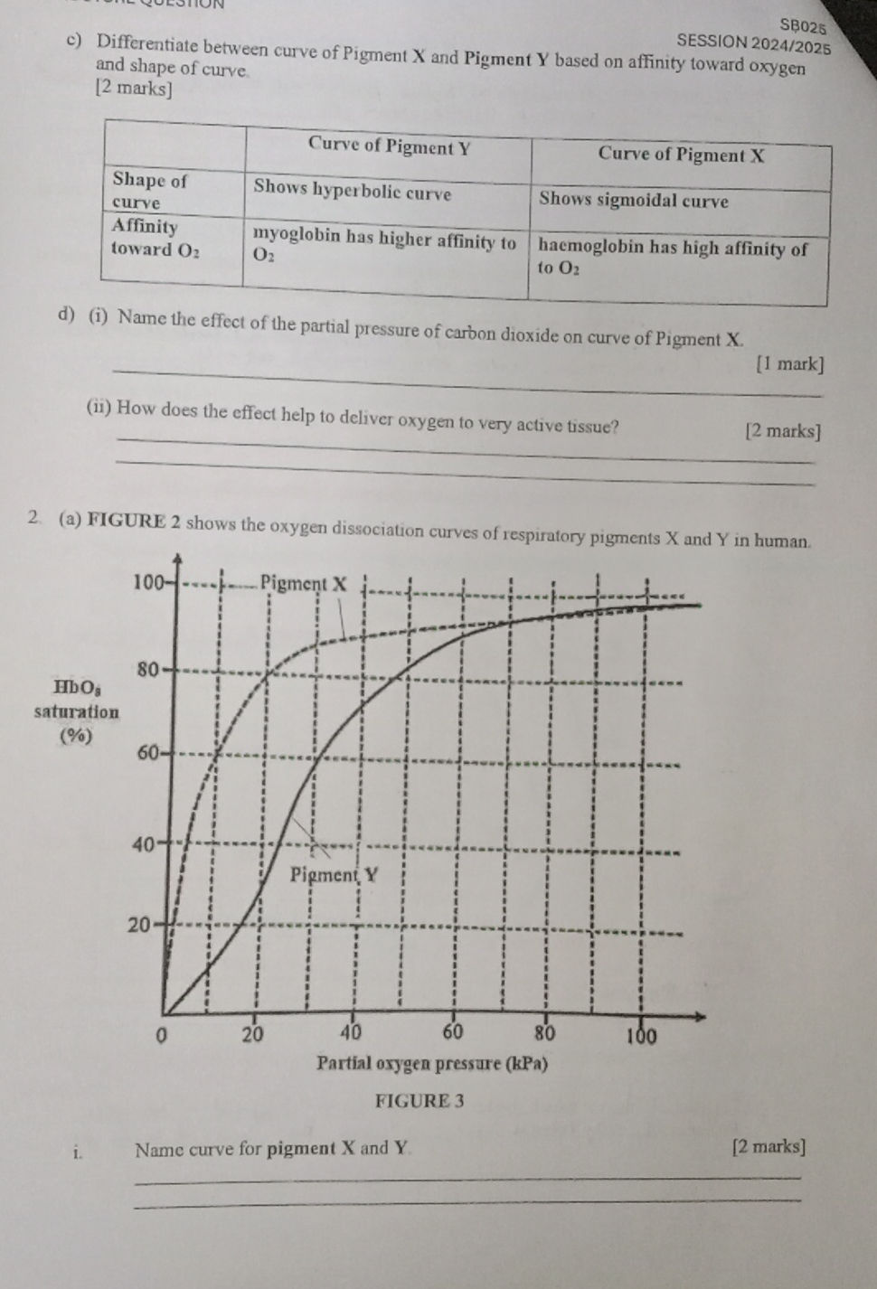 c) Differentiate between curve of Pigment X | StudyX
