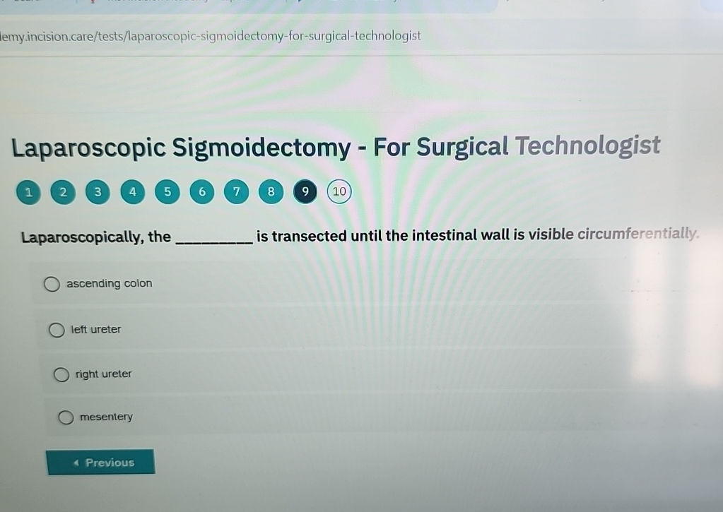 Laparoscopically, the ______ is transected | StudyX