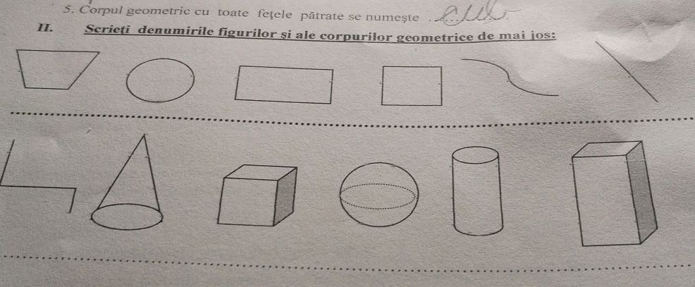 5. Corpul geometric cu toate fețele pătrate | StudyX