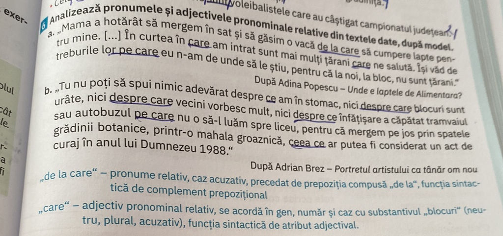 6 Analizează pronumele şi adjectivele