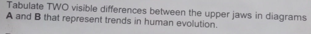 Tabulate TWO visible differences between the | StudyX