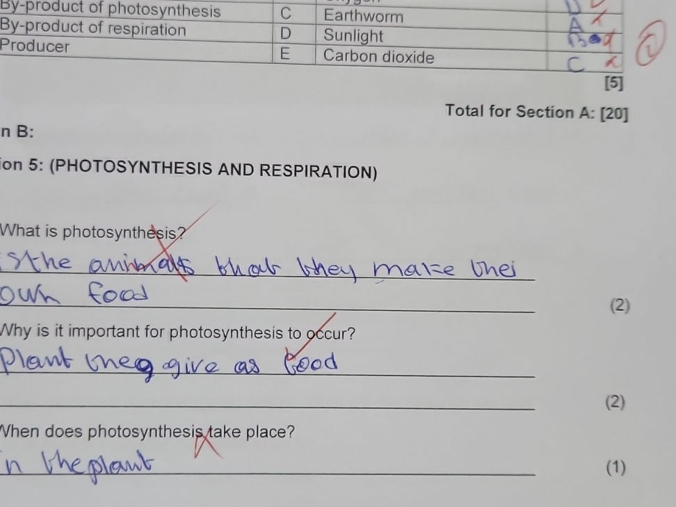 What is photosynthesis? S the animals that | StudyX