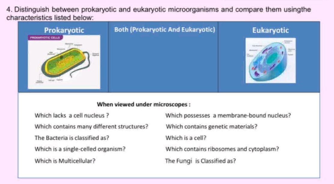 4. Distinguish between prokaryotic and | StudyX