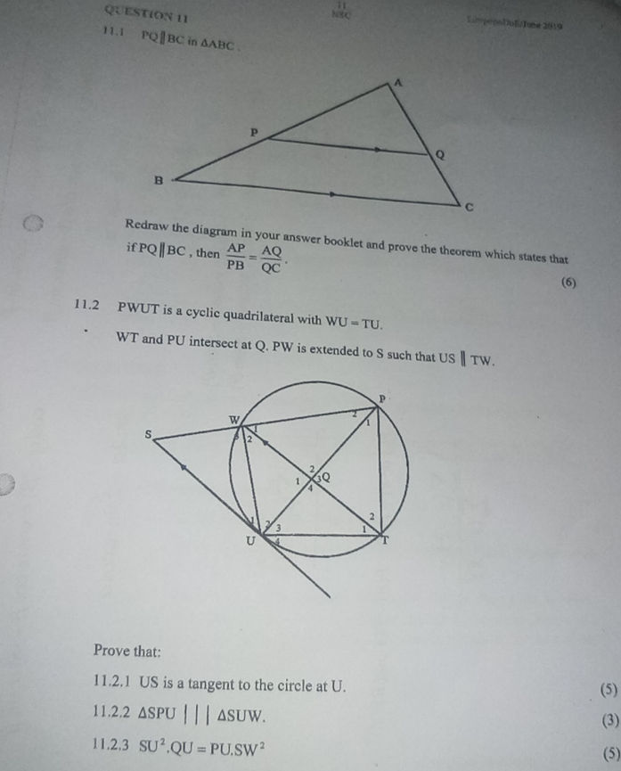 11.1 PQ || BC in ΔABC. Redraw the diagram | StudyX