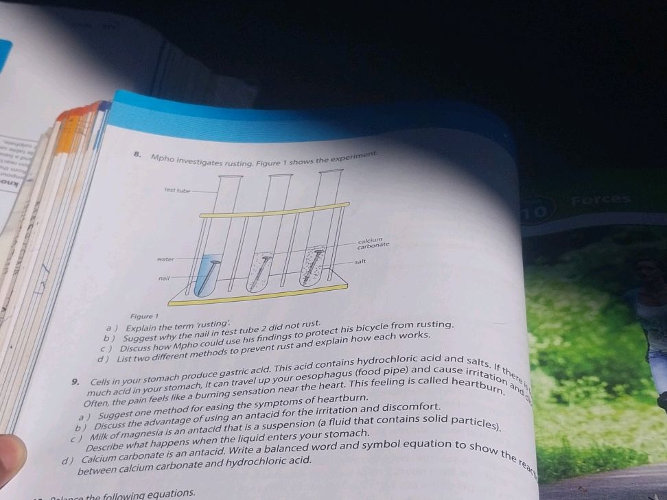 8. Mpho investigates rusting. Figure 1 shows | StudyX