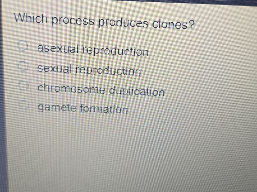 Which process produces clones? asexual | StudyX