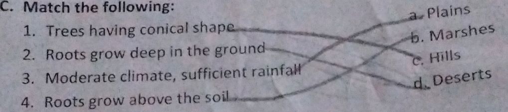 C. Match the following: 1. Trees having | StudyX