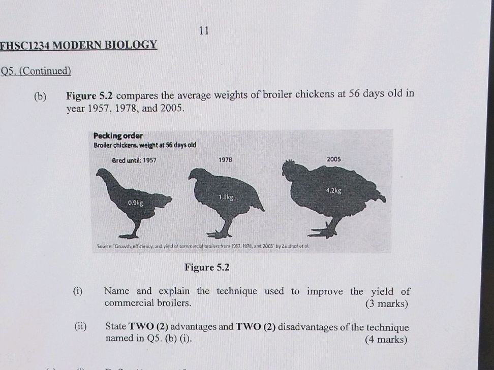 (b) Figure 5.2 compares the average weights | StudyX