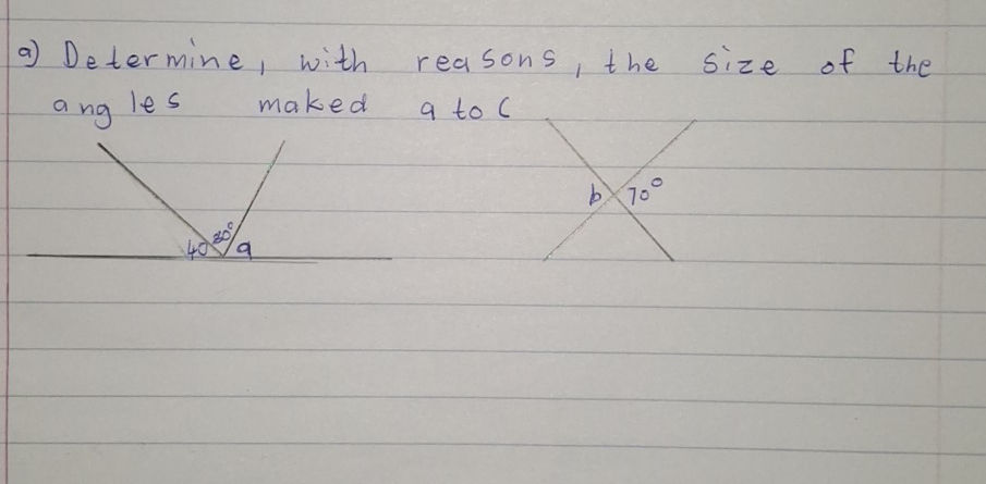 a) Determine, with reasons, the size of the | StudyX